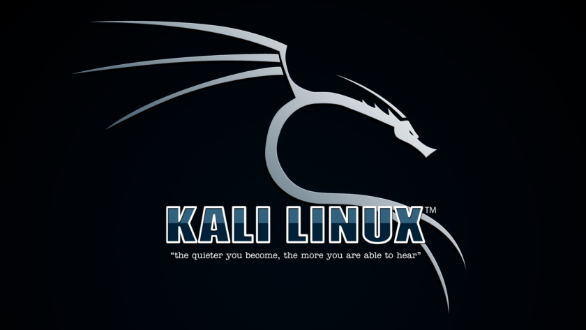 Everything you need to know about how to install the program on Kali ...